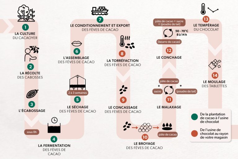 Fabrication du Chocolat : Comment est Fait le Chocolat ? | KAOKA