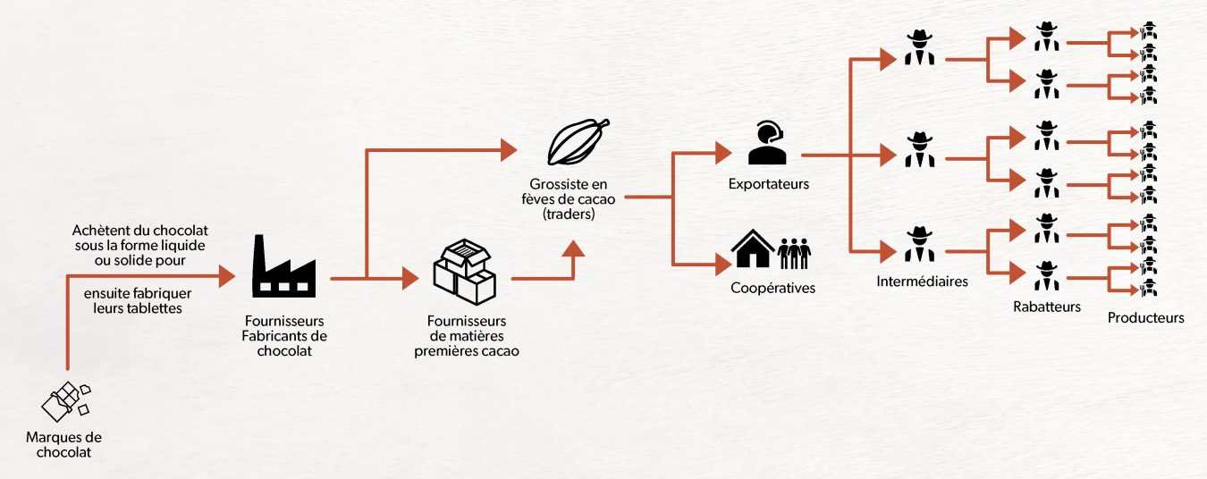 Tout savoir sur la production de cacao | KAOKA